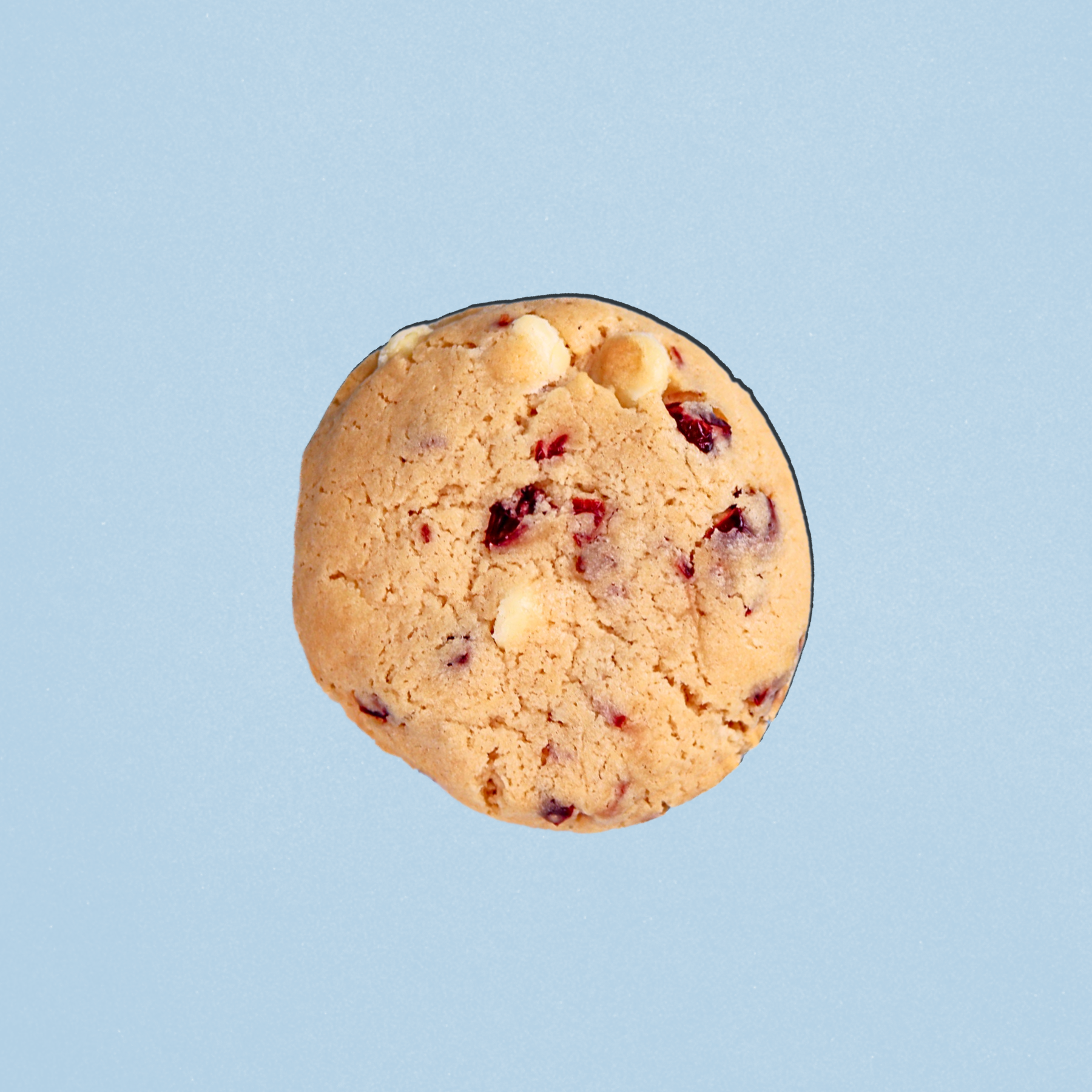 Cranberry Orange Burst Cookies Delivery | The Cravory