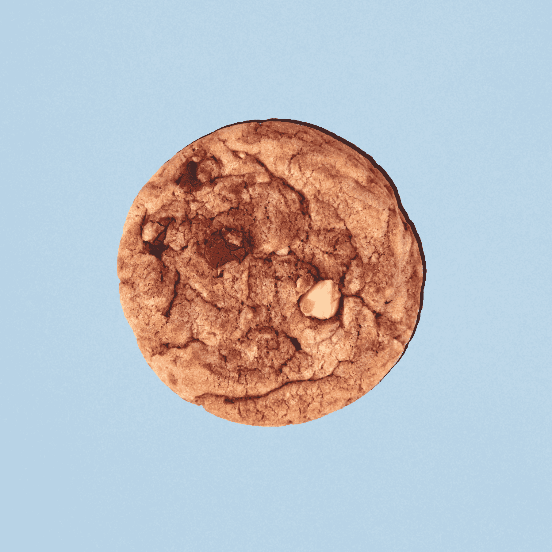Nutella Wonder Cookie Delivery | The Cravory