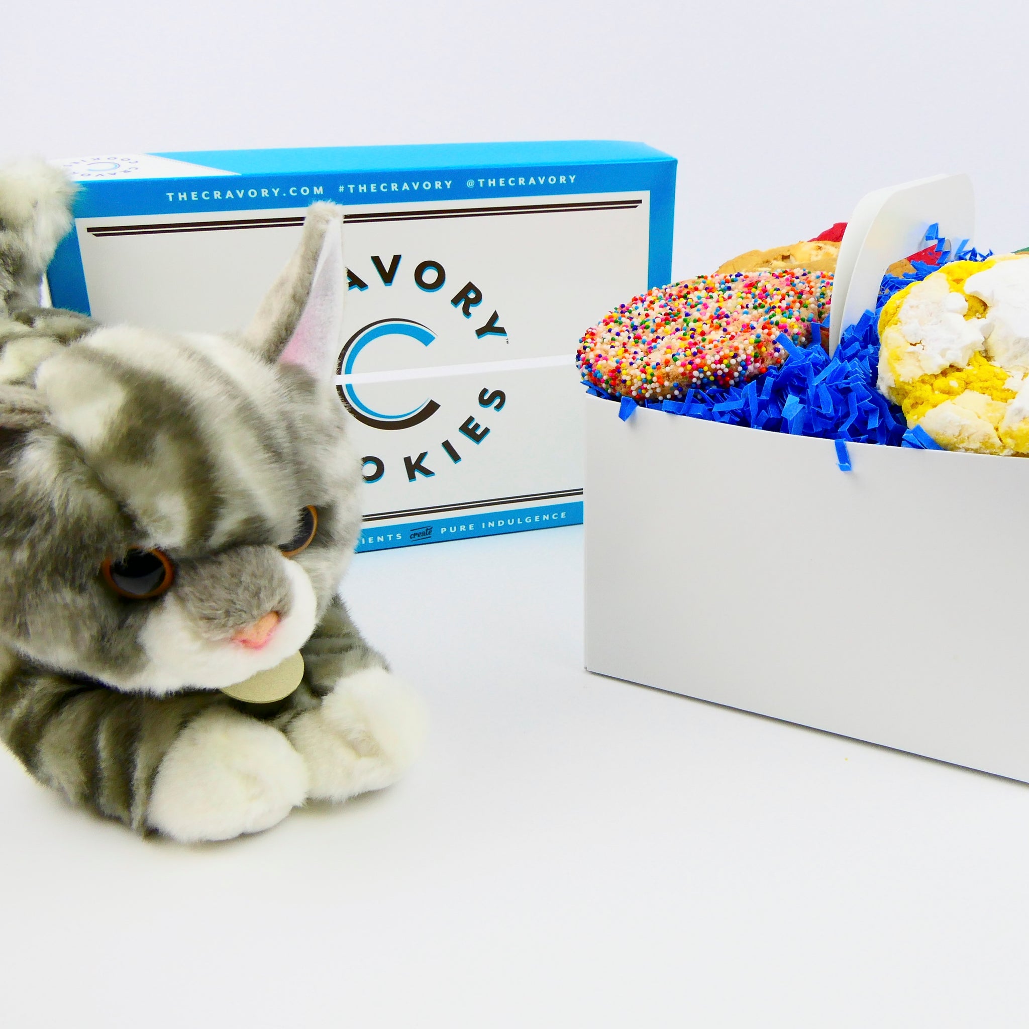 Kids Cookie Box - Cat